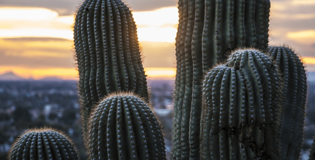 What to Expect at GPUG Summit 2018 - Century Business Solutions