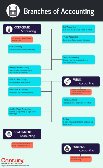 The Evolution of Accounting: 4 Career Branches